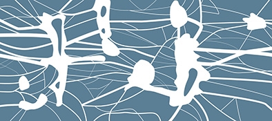 Water Electrolysis PEM Membranes for Hydrogen Production | Gore